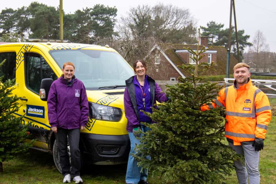Christmas tree recycling - thank you - East Anglia's Children's Hospices